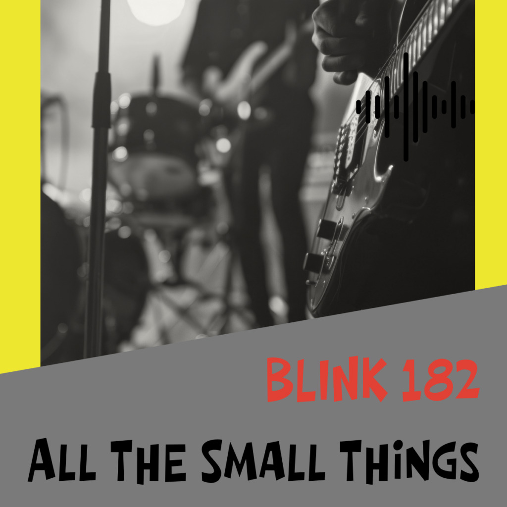 All The Small Things - Drummer Tube